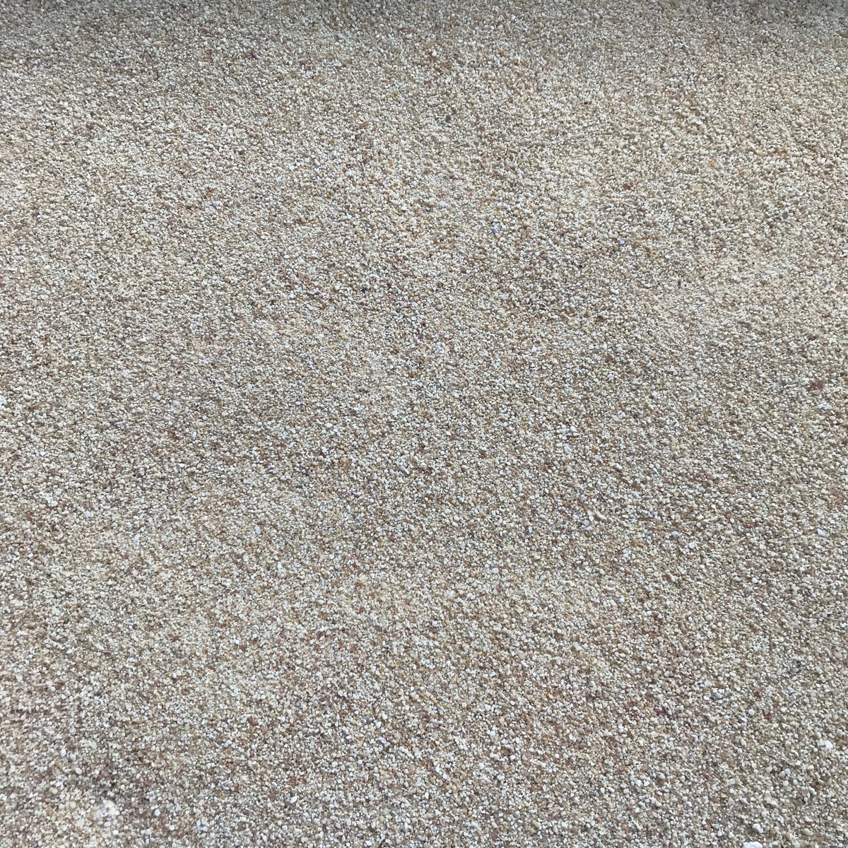 ORGANIC DATE SUGAR, dried, ground – Om Foods | Organic Matters