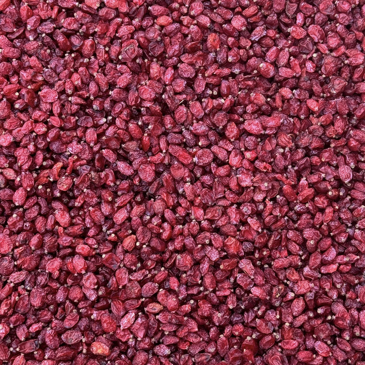 BARBERRIES, dried, whole – Om Foods | Organic Matters