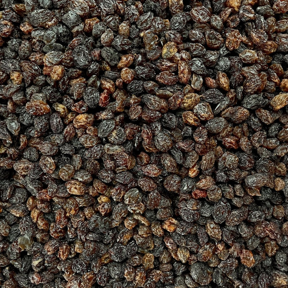 ORGANIC RAISINS, Flame – Om Foods | Organic Matters