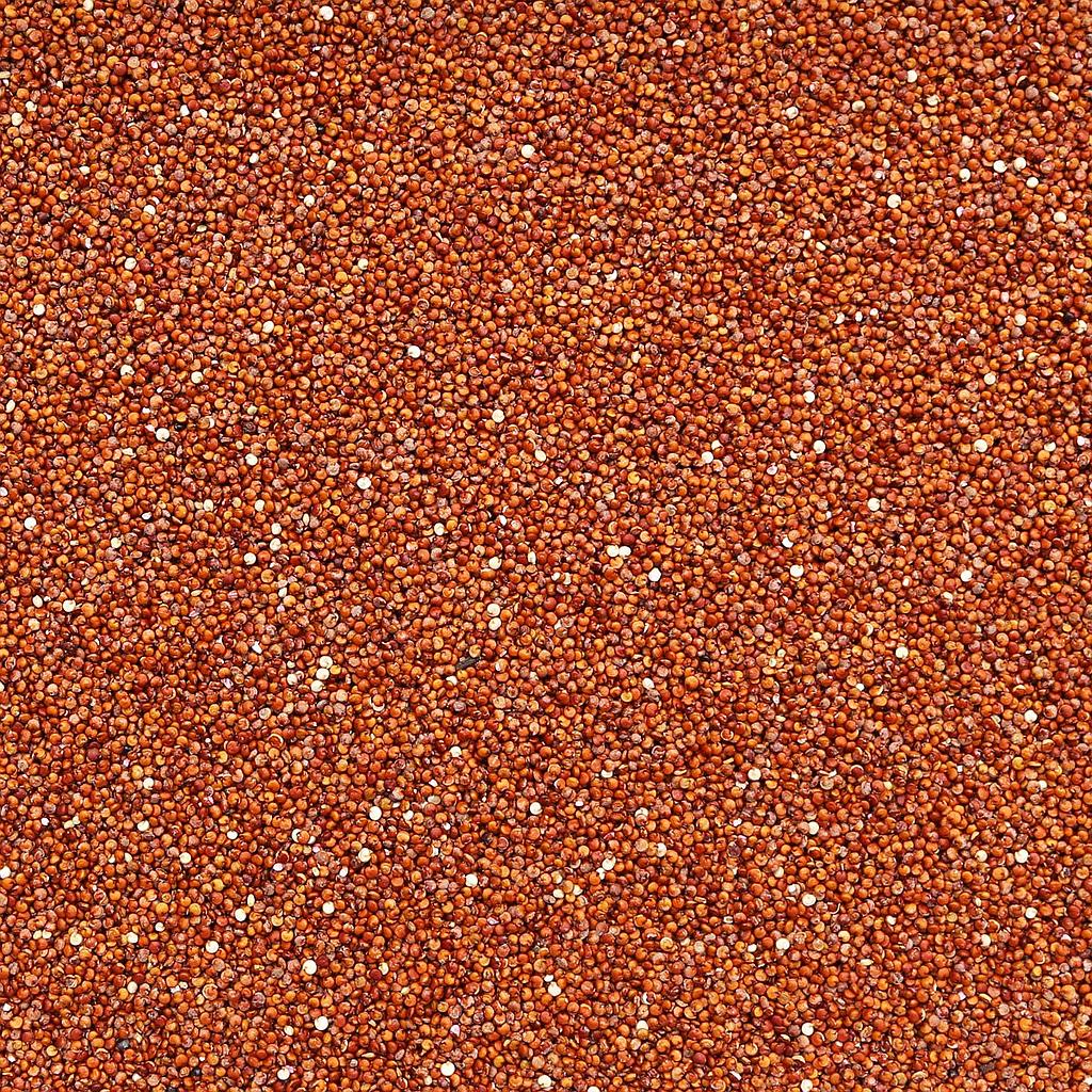 ORGANIC QUINOA, red – Om Foods | Organic Matters
