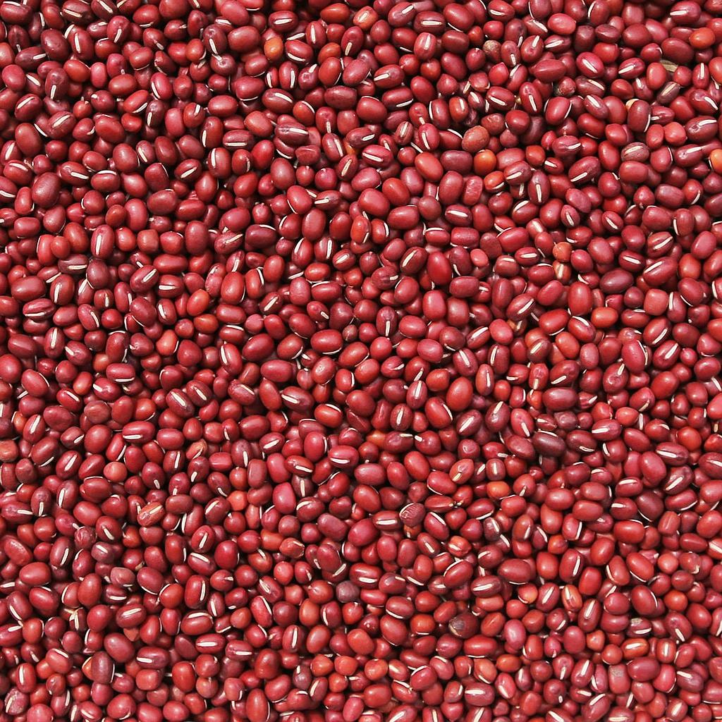 ORGANIC ADZUKI BEANS – Om Foods | Organic Matters