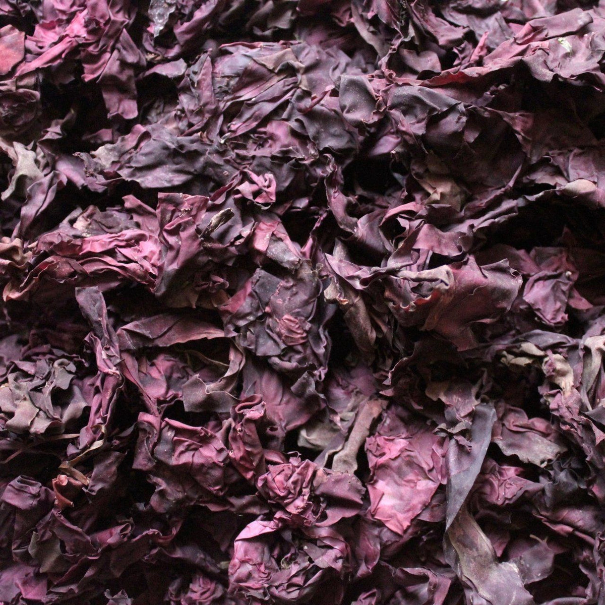 ORGANIC DULSE, whole leaf – Om Foods | Organic Matters