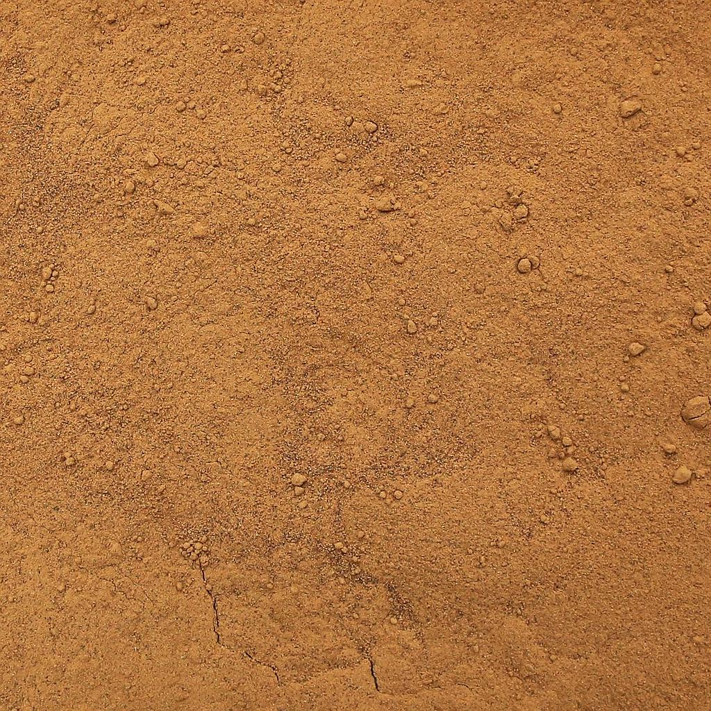 ORGANIC RAMON, powder, roasted – Om Foods | Organic Matters