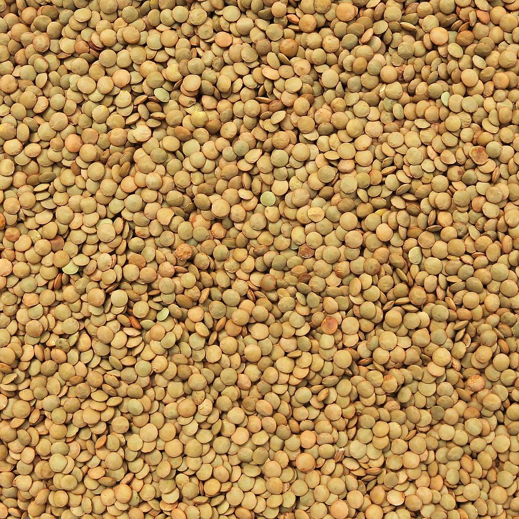 ORGANIC LENTILS, Green (Laird) – Om Foods | Organic Matters
