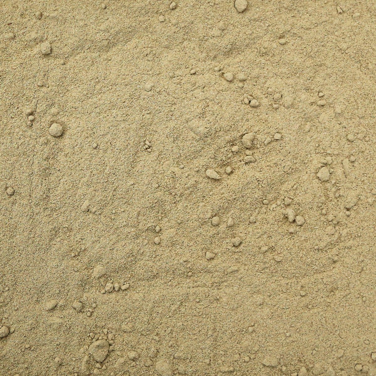 ORGANIC FENNEL SEED, powder – Om Foods | Organic Matters