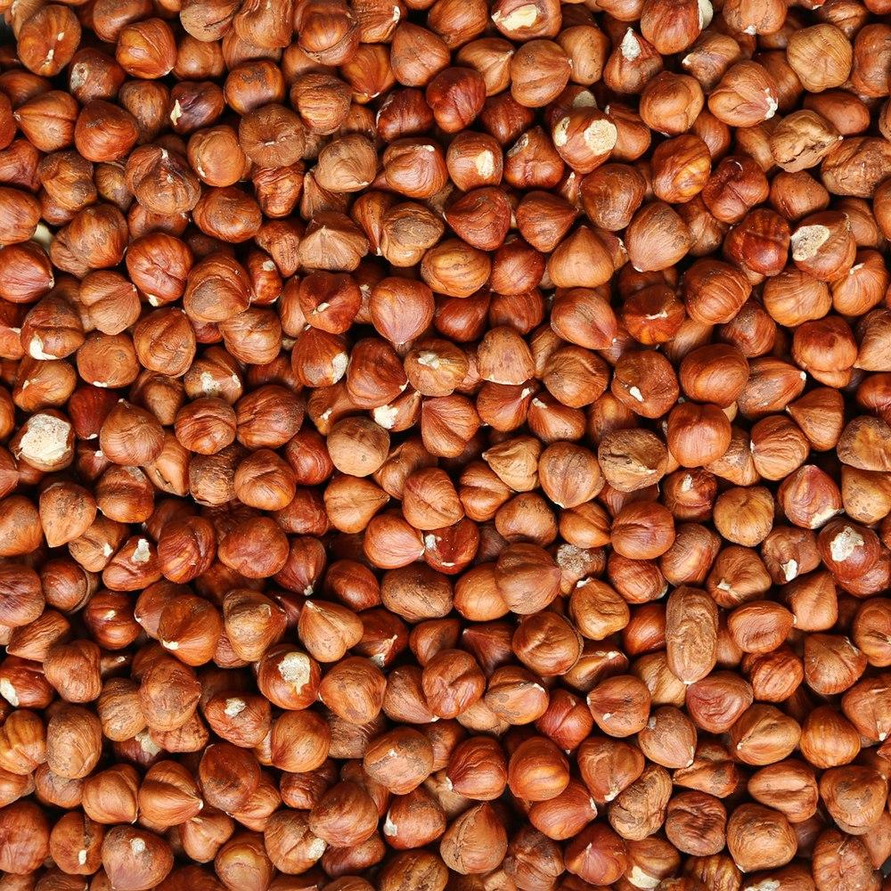 ORGANIC HAZELNUTS, raw, whole – Om Foods | Organic Matters