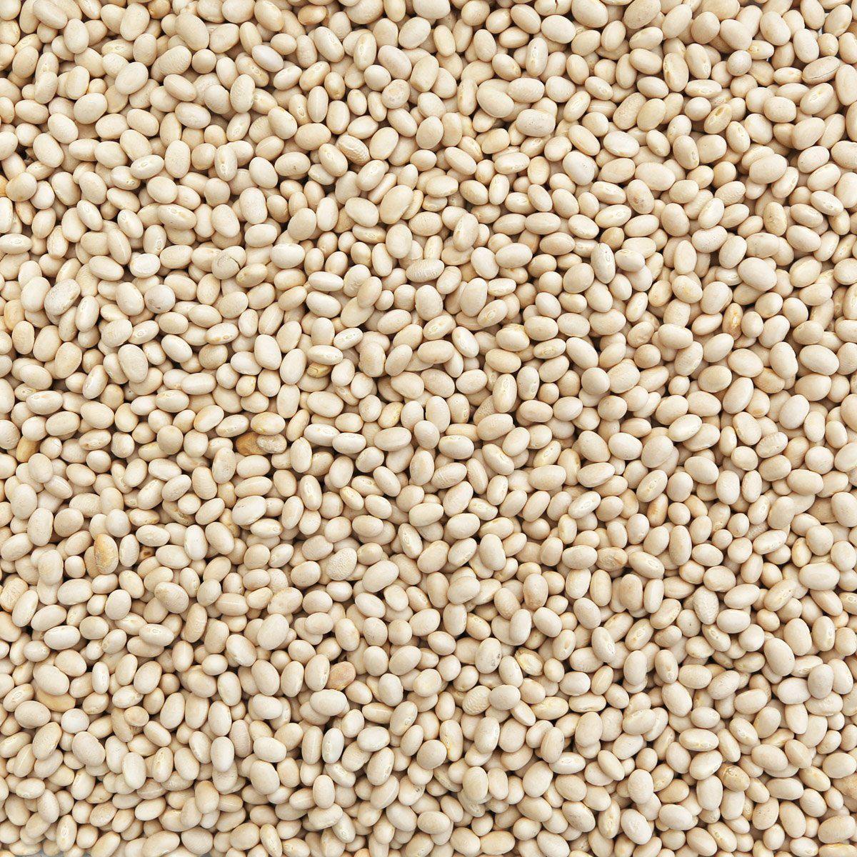 ORGANIC NAVY BEANS – Om Foods | Organic Matters