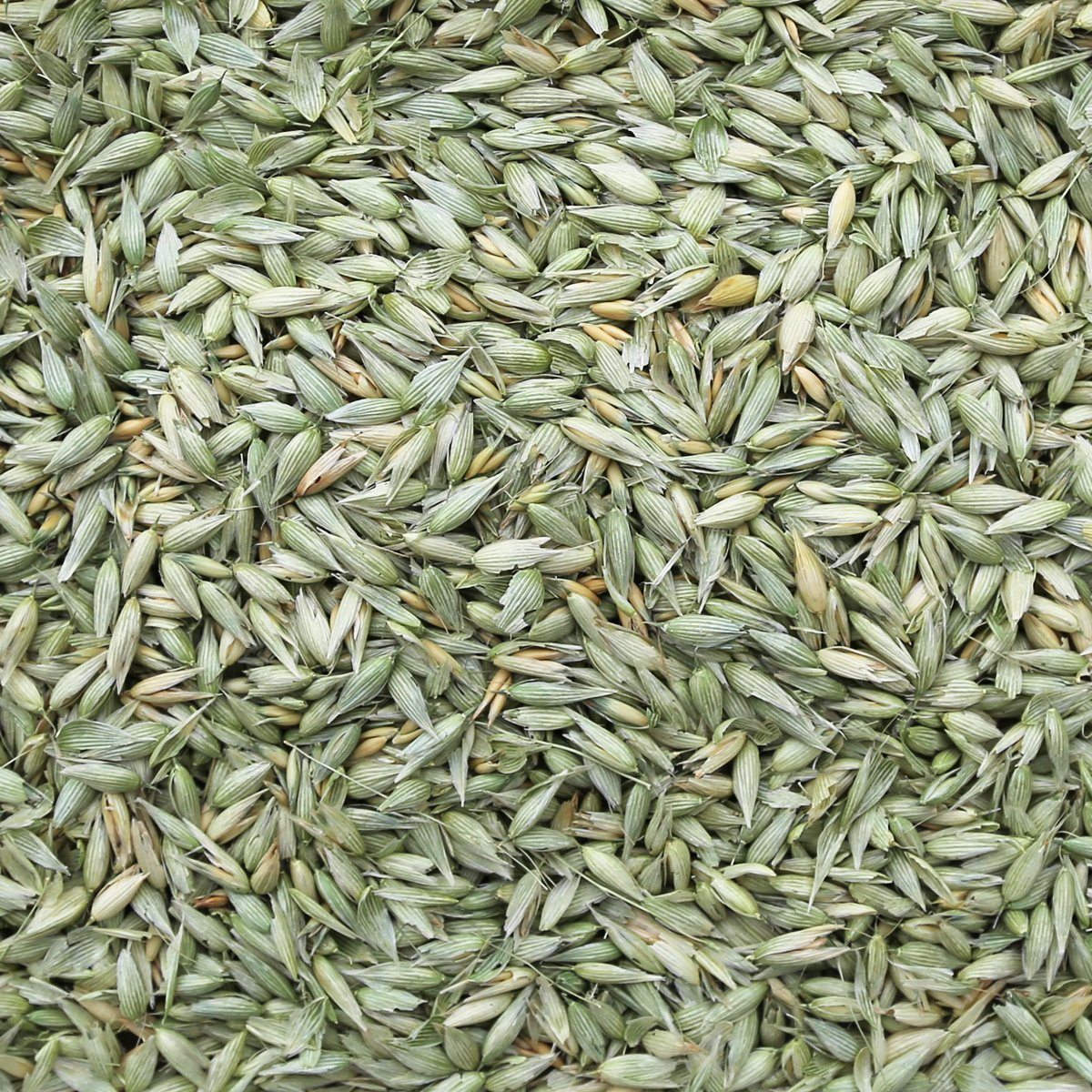 OAT TOPS, whole – Om Foods | Organic Matters